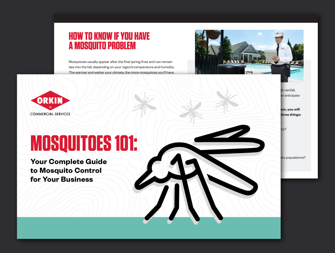 Mosquitoes 101: Your Complete Guide to Mosquito Control for Your Business