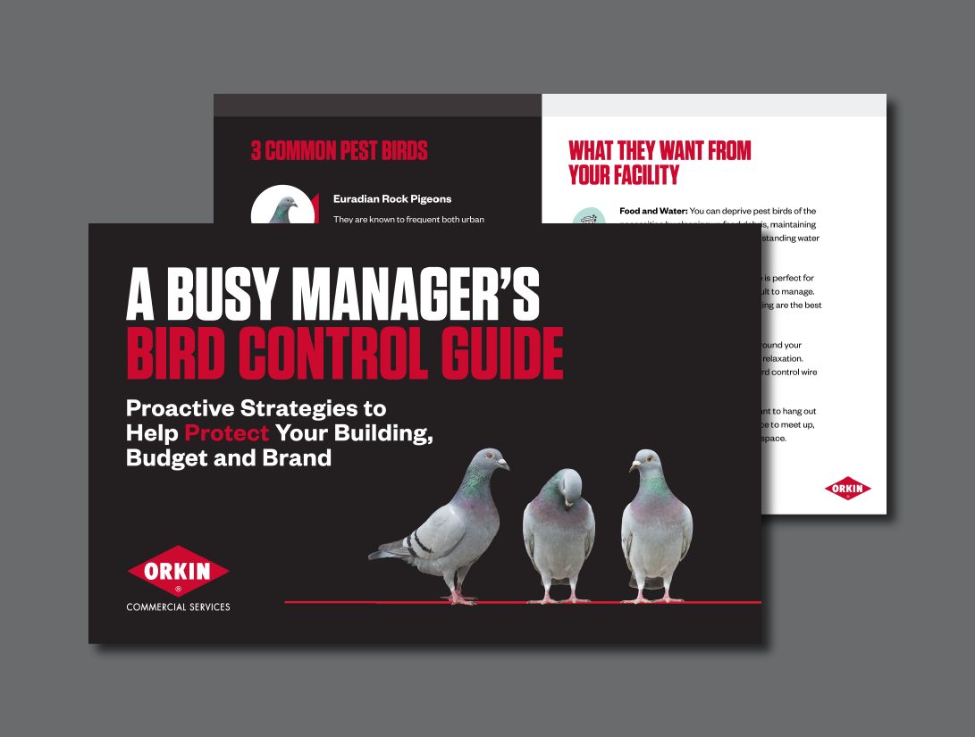 Bird Control Reference Guide
