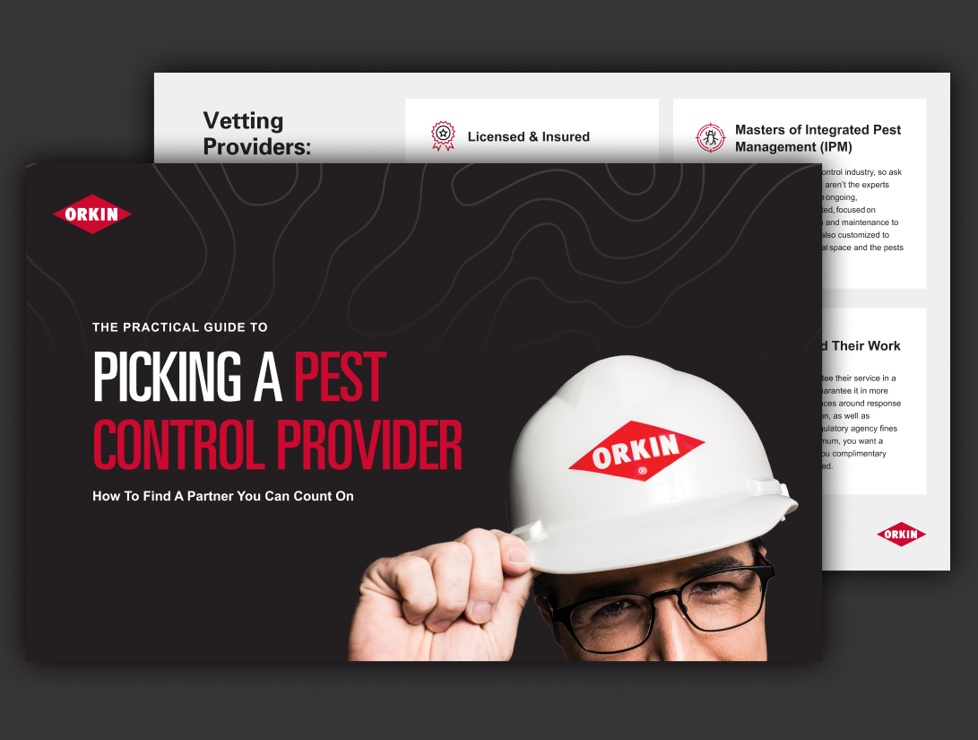 The Practical Guide To Picking a Pest Control Provider