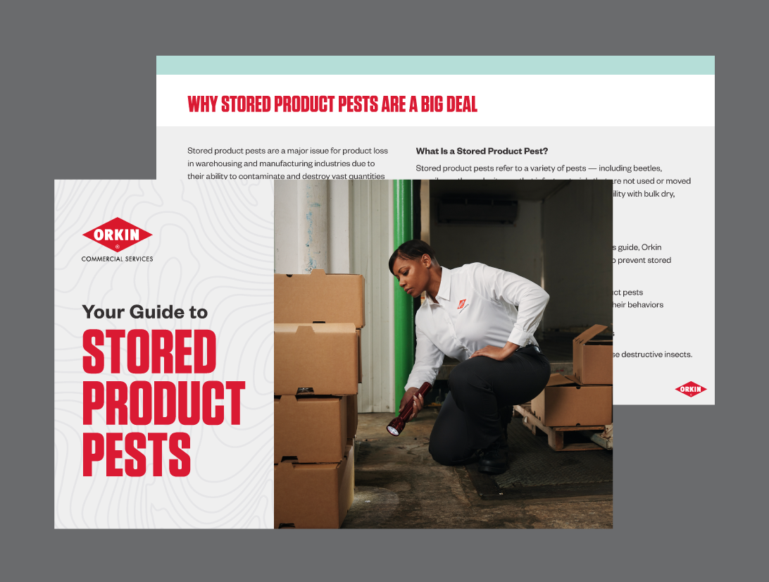 Your Guide to Stored Product Pests