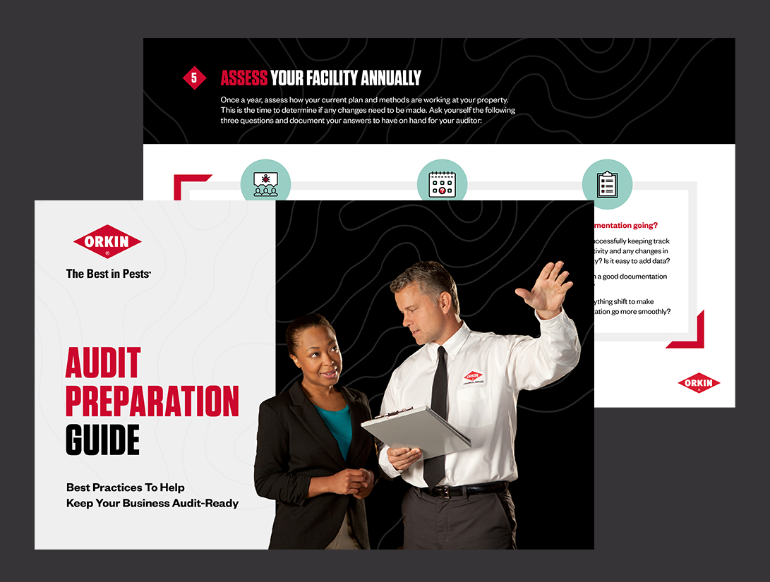 Audit Preparation Guide