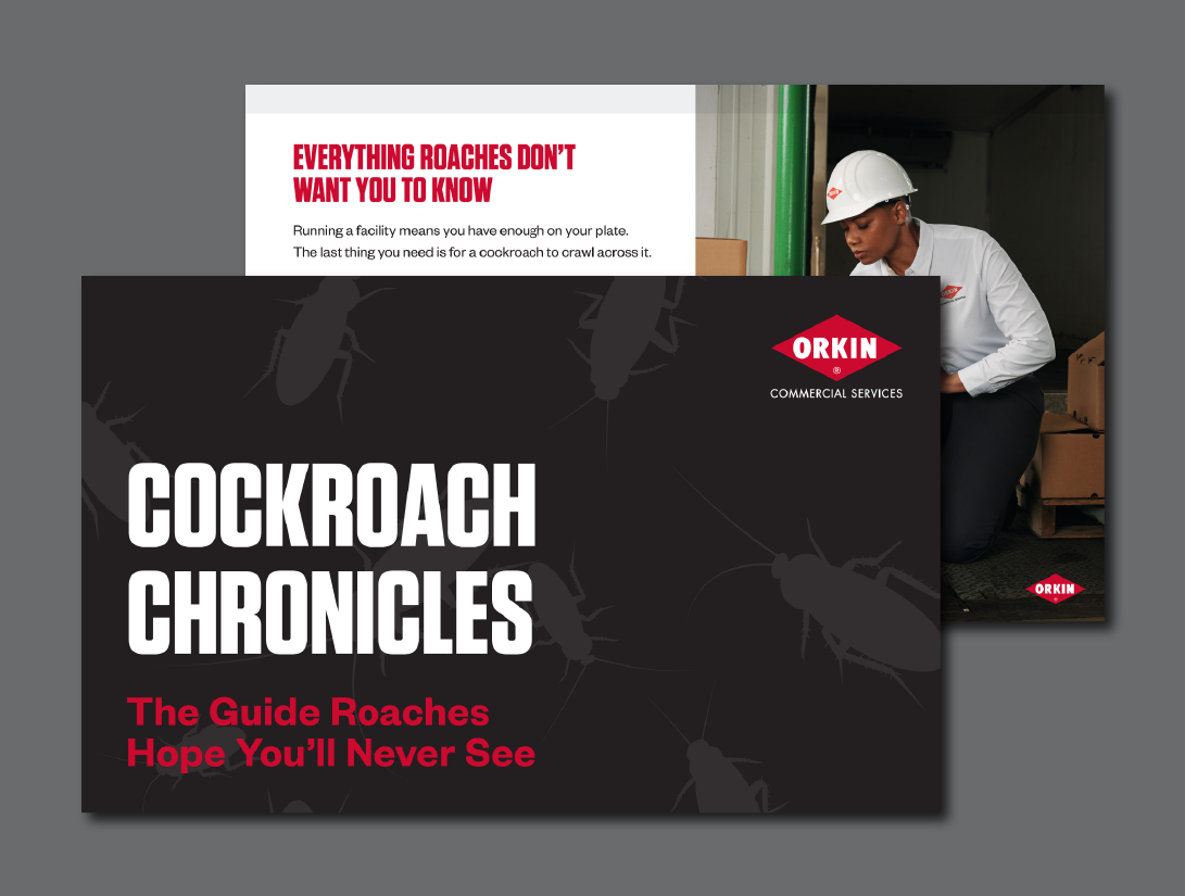 Orkin’s Cockroach Chronicles