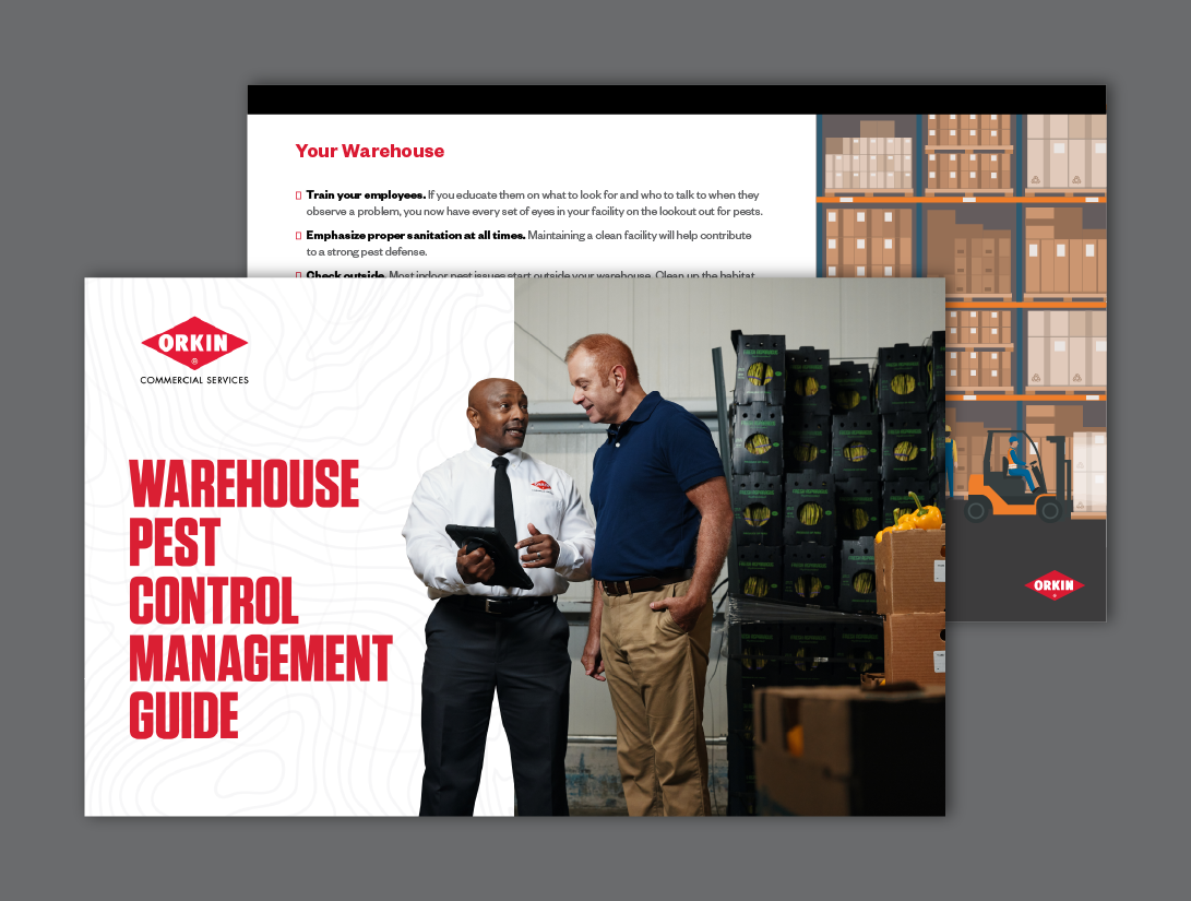Your Complete Guide to Warehouse Pest Control